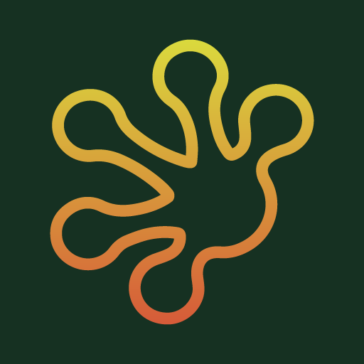 Gecho Agency | WordPress Website Developers